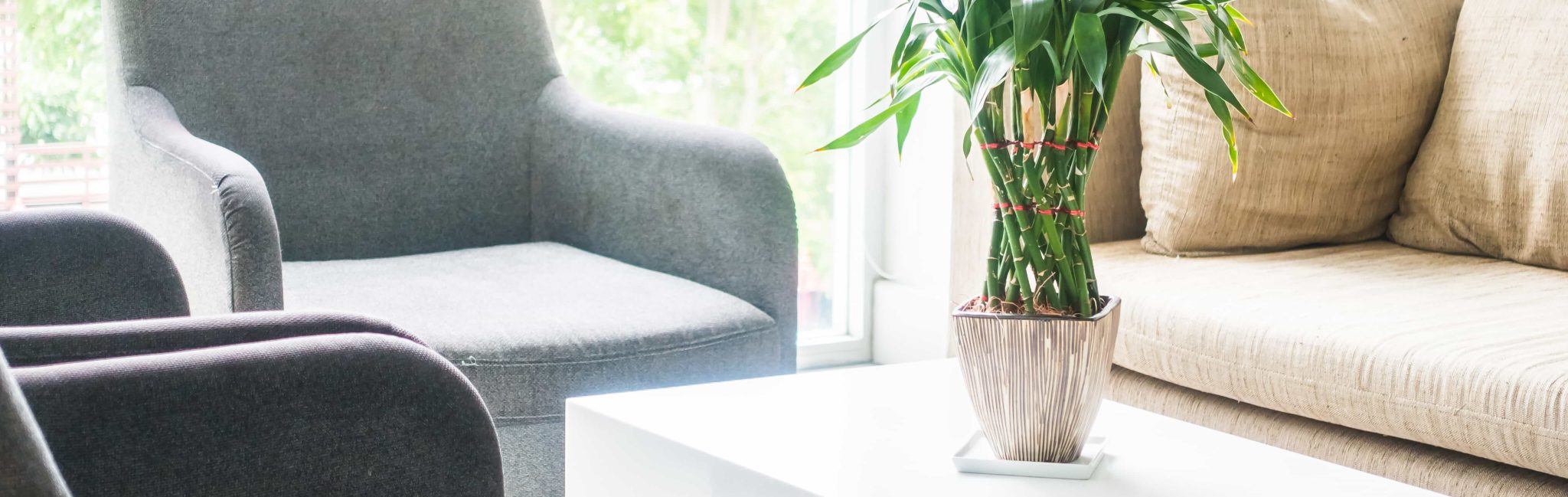 Ways to Improve Indoor Air Quality With Cleaning and Hygiene | ORAPI Asia