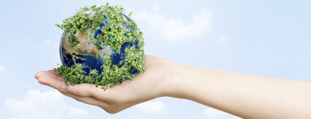 What Is ECOCERT Certification and Why Is It Important | ORAPI Asia