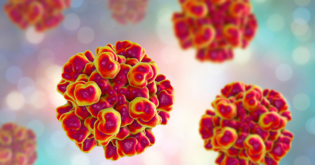 Hepatitis E Virus (HEV): Prevalence, Transmission, and Prevention ...