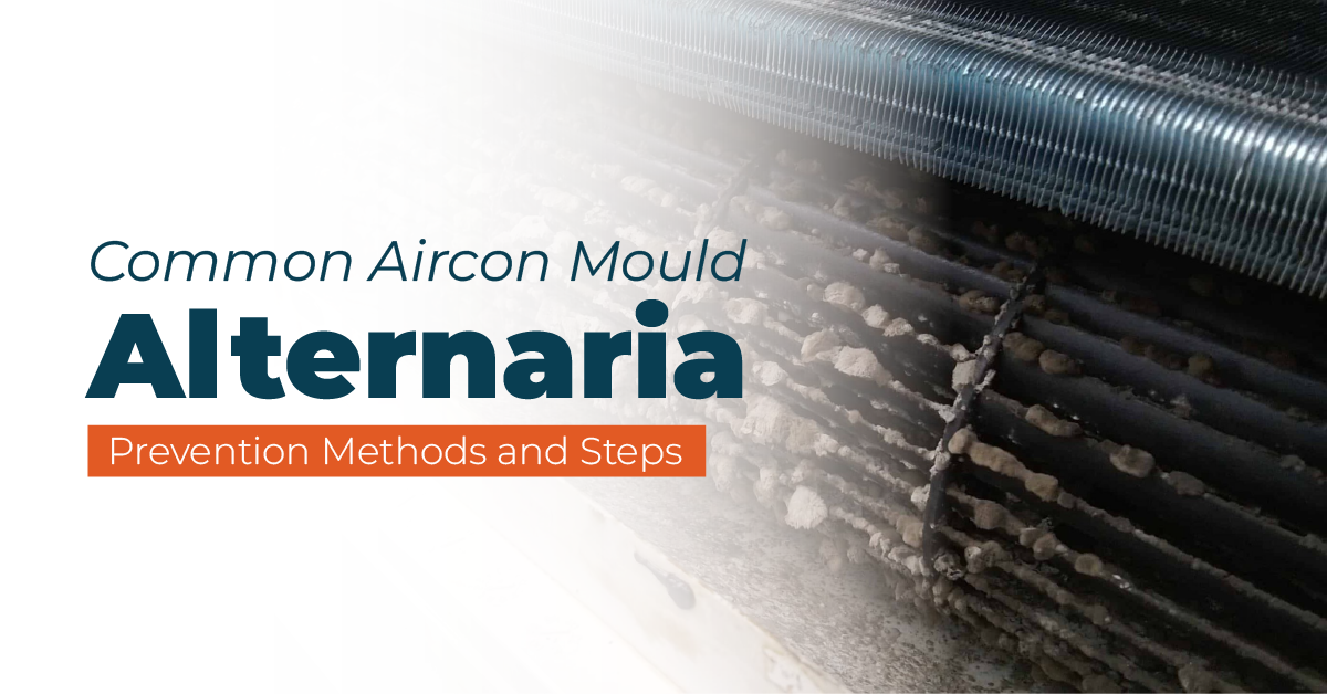 Alternaria: An Aircon Mould & How to Prevent It | ORAPI Asia
