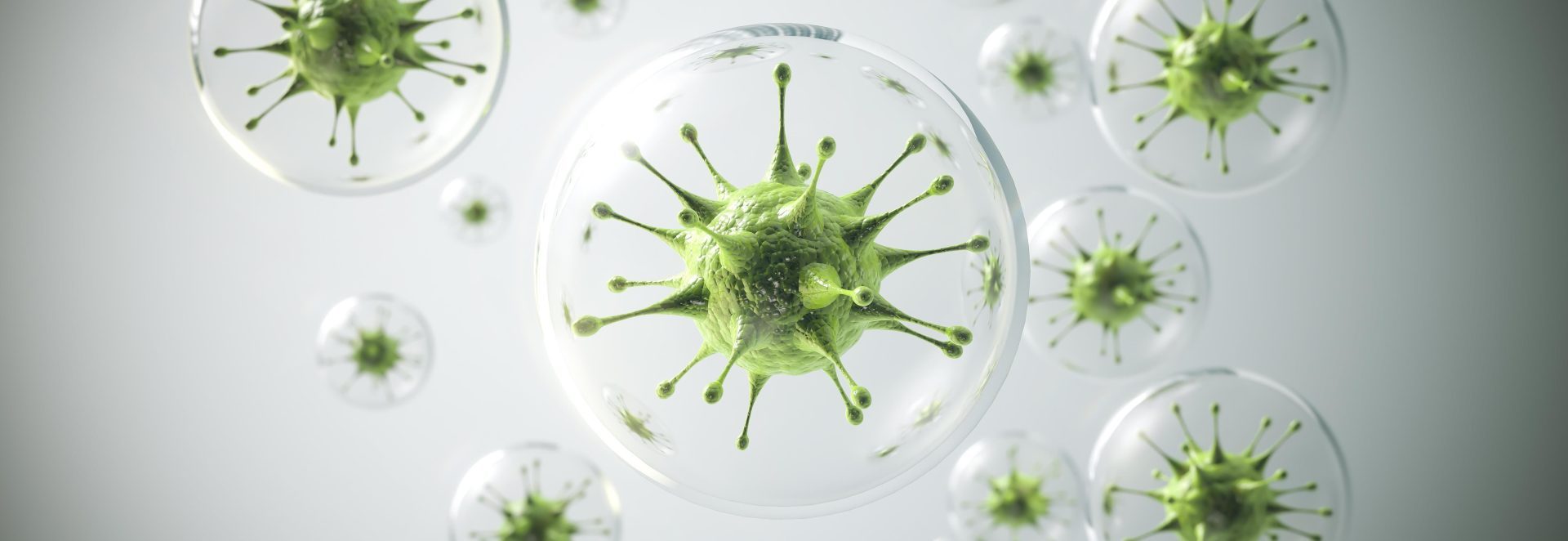 What Is the Difference Between Sanitising and Disinfecting: The Science ...