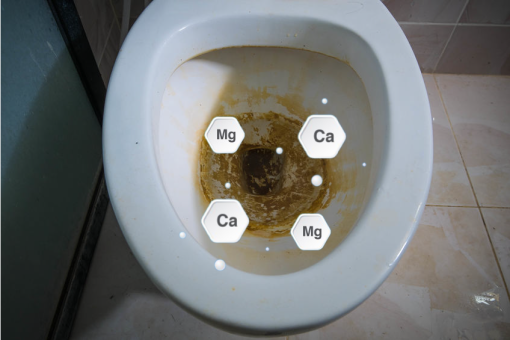 How to Remove Limescale From Toilet Bowls | ORAPI Asia