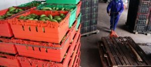 Best Practices for Food Handling When Receiving Goods | ORAPI Asia