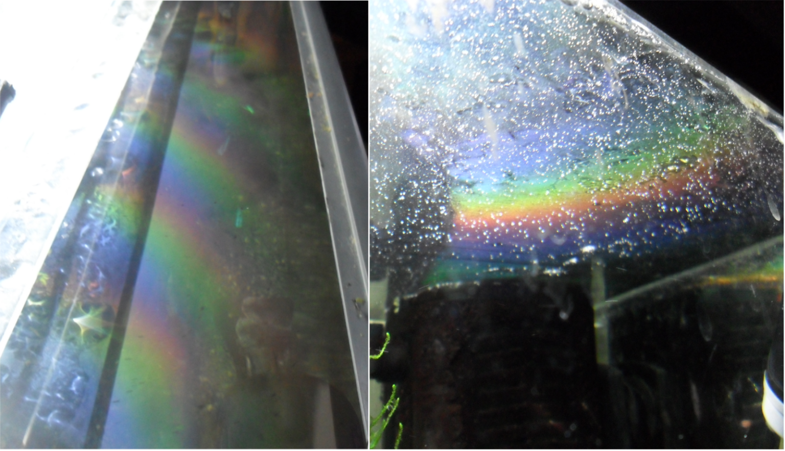 Food Processing and Manufacturing: The Risks of Biofilm Contamination ...