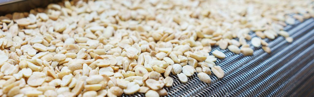 How to Maintain Food Safety in a Dry Processing Environment | ORAPI Asia