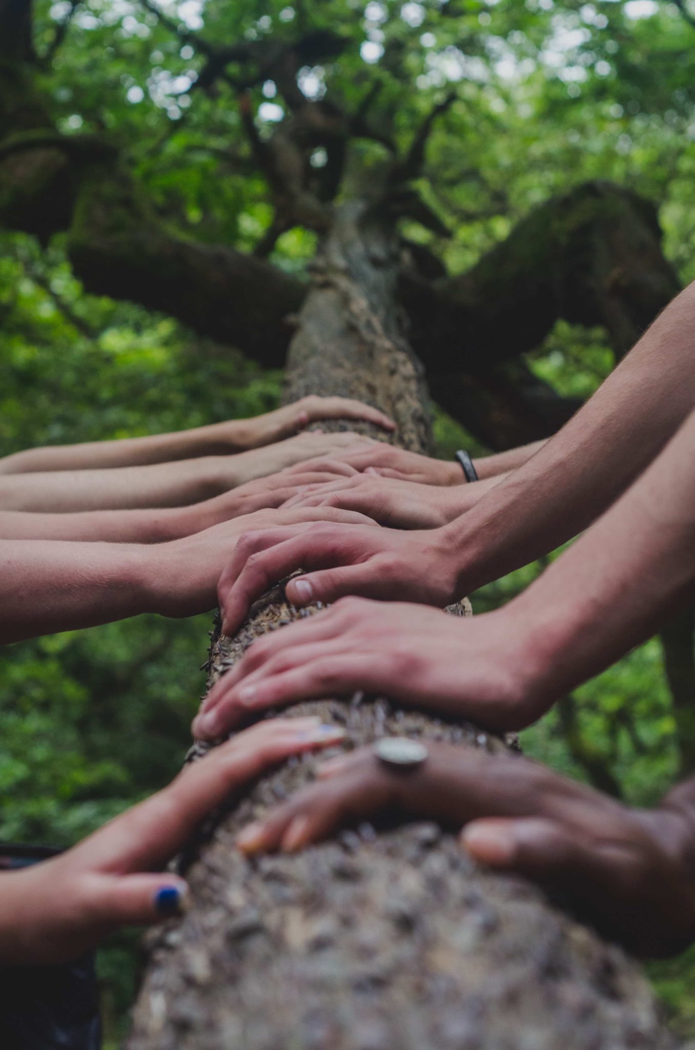 Closing the Say-Do Gap: Aligning Actions with Words | ORAPI Asia
