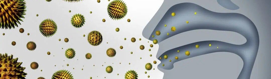 Ways to Improve Indoor Air Quality With Cleaning and Hygiene | ORAPI Asia