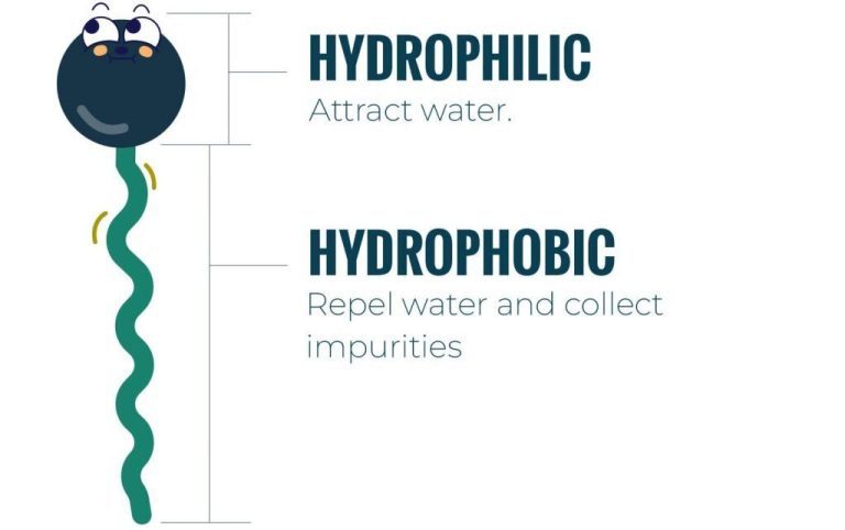 Understanding Alkaline Cleaners: Their Function and Effectiveness ...
